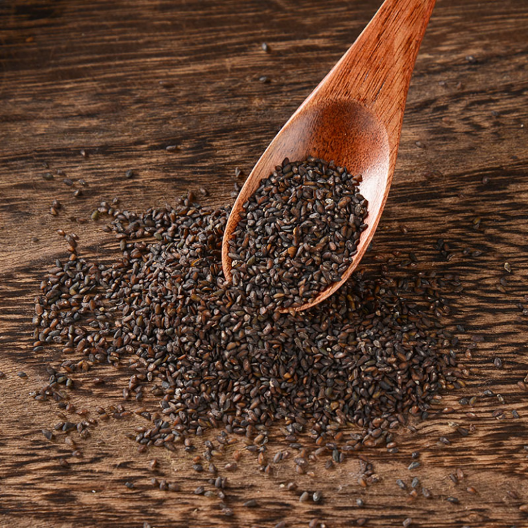 Plantain Seeds - Che Qian Zi | Plantago, Psyllium, Ovata for Sale